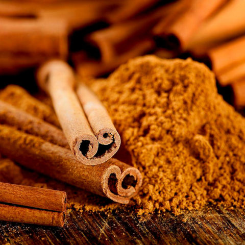 Cannelle | Cinnamomum zeylanicum | Phytothérapie | Lauracées