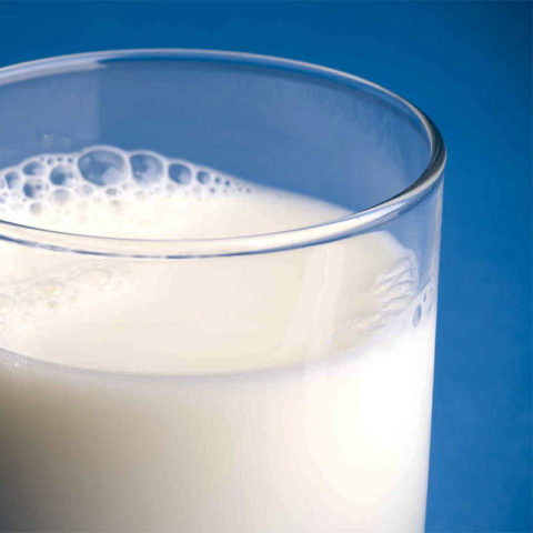 Lait de chamelle | Naturopathie