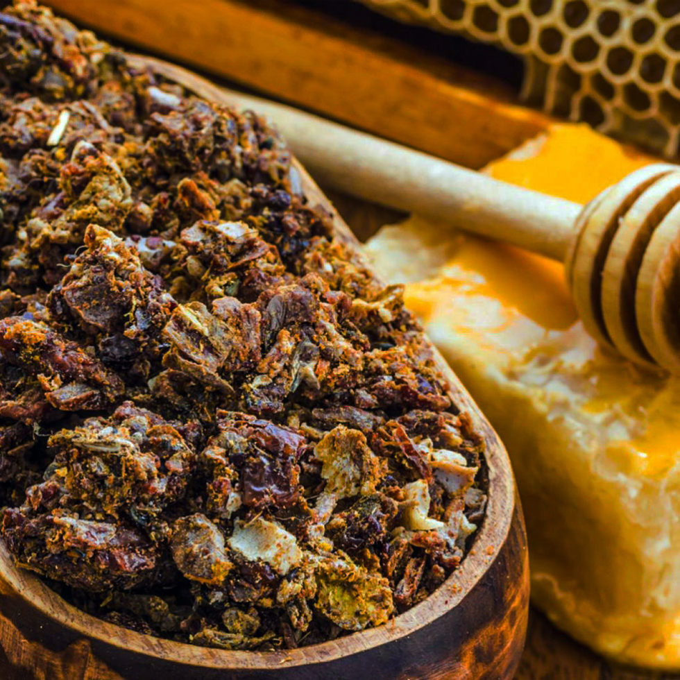 La propolis, propriétés et usages - avec le Dr Lilian Ceballos ...